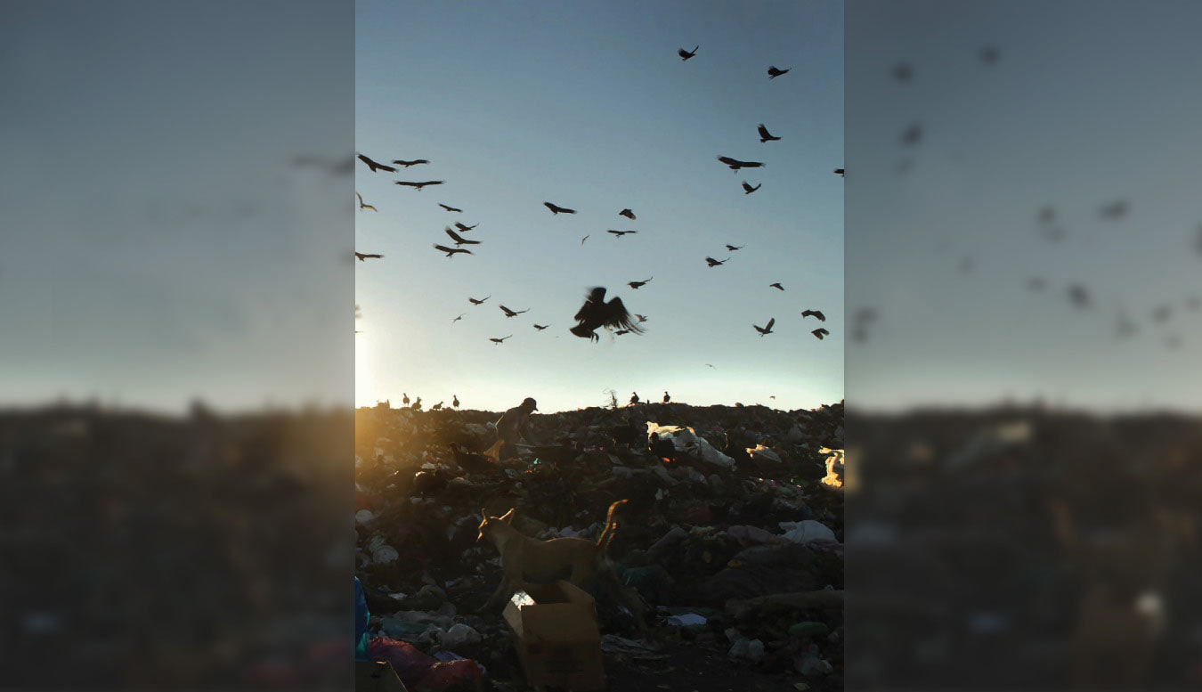 Wasteless Future – Antonis Mavropoulos